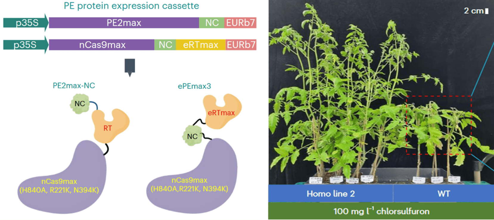 Hot Plasmids: Winter 2025